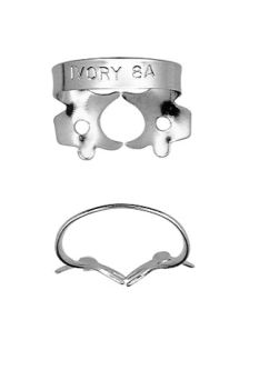 Kulzer Ivory Clamp W8A Wingless Regular molar Stainless steel