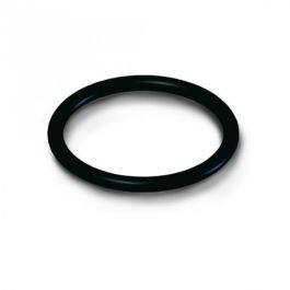 Dentsply Smartlite Pro O-Rings (3)